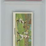 Collector Investor Auctions