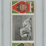 Collector Investor Auctions